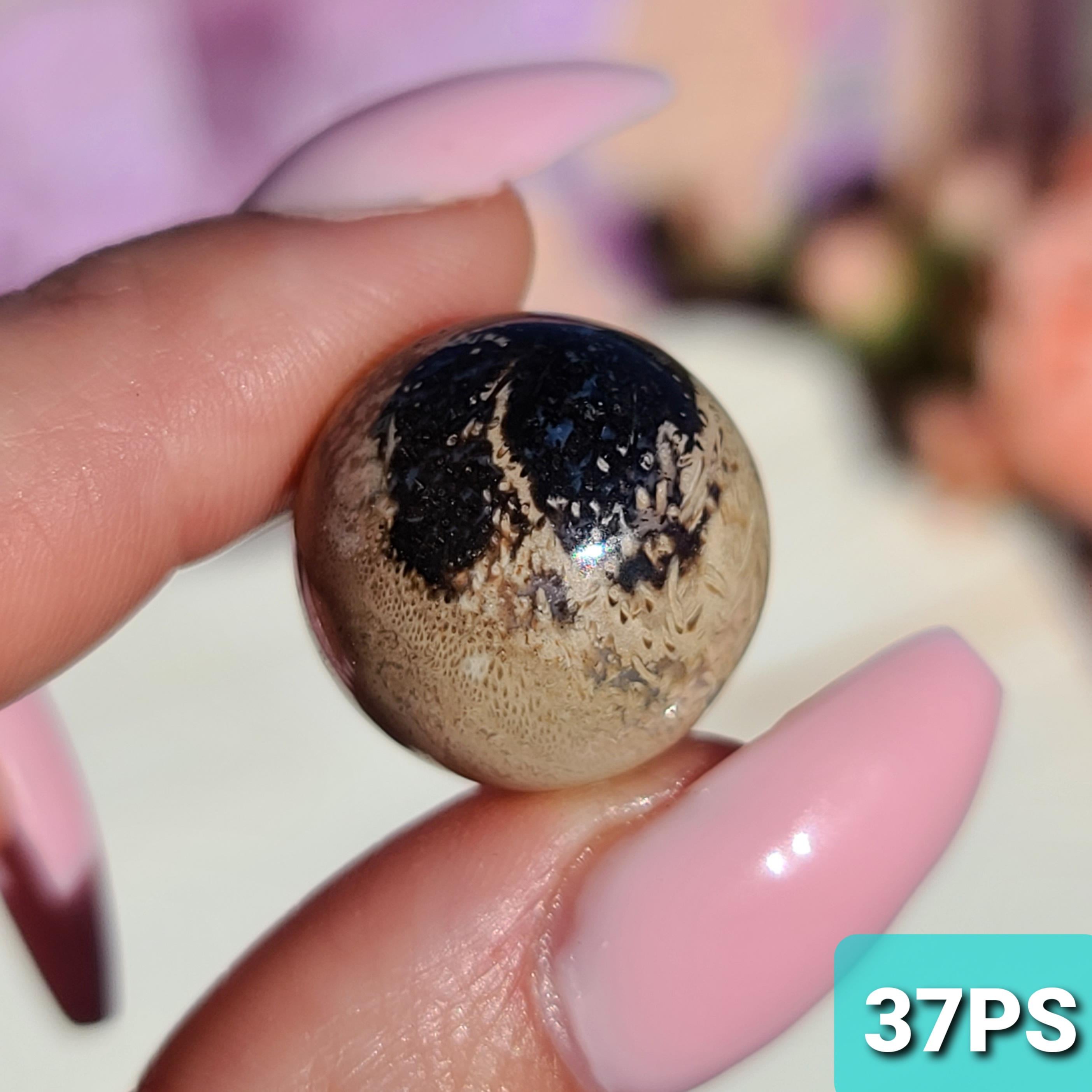 Palm Root Fossil Sphere, Choose Your Tiny Crystal Ball for Jewelry ...