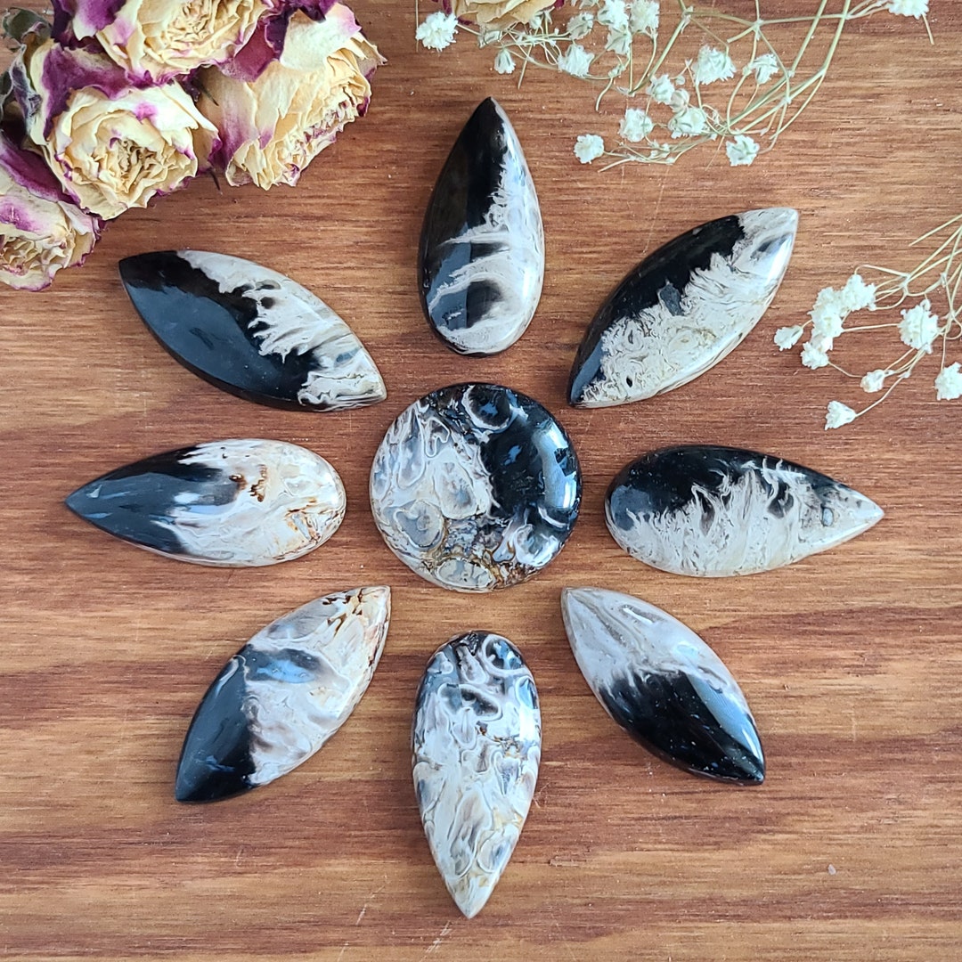 Palm Root Fossil Cabochon, Choose Your Indonesian Gemstone Cab for ...