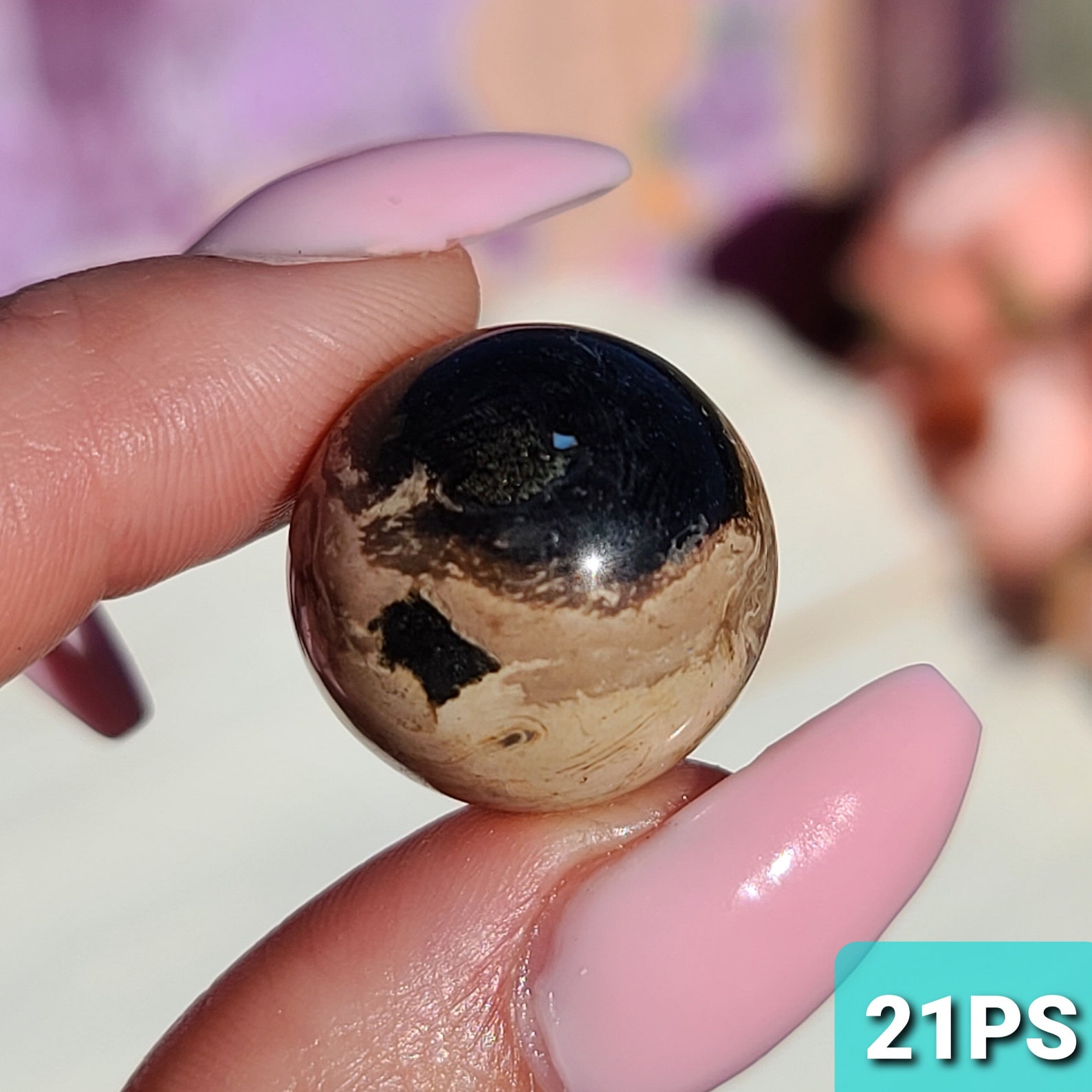 Palm Root Fossil Sphere Choose Your Tiny Crystal Ball for - Etsy