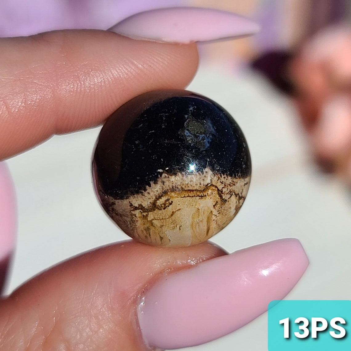 Palm Root Fossil Sphere Choose Your Tiny Crystal Ball for | Etsy