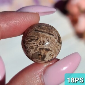 Palm Root Fossil Sphere, Choose Your Tiny Crystal Ball for Jewelry ...