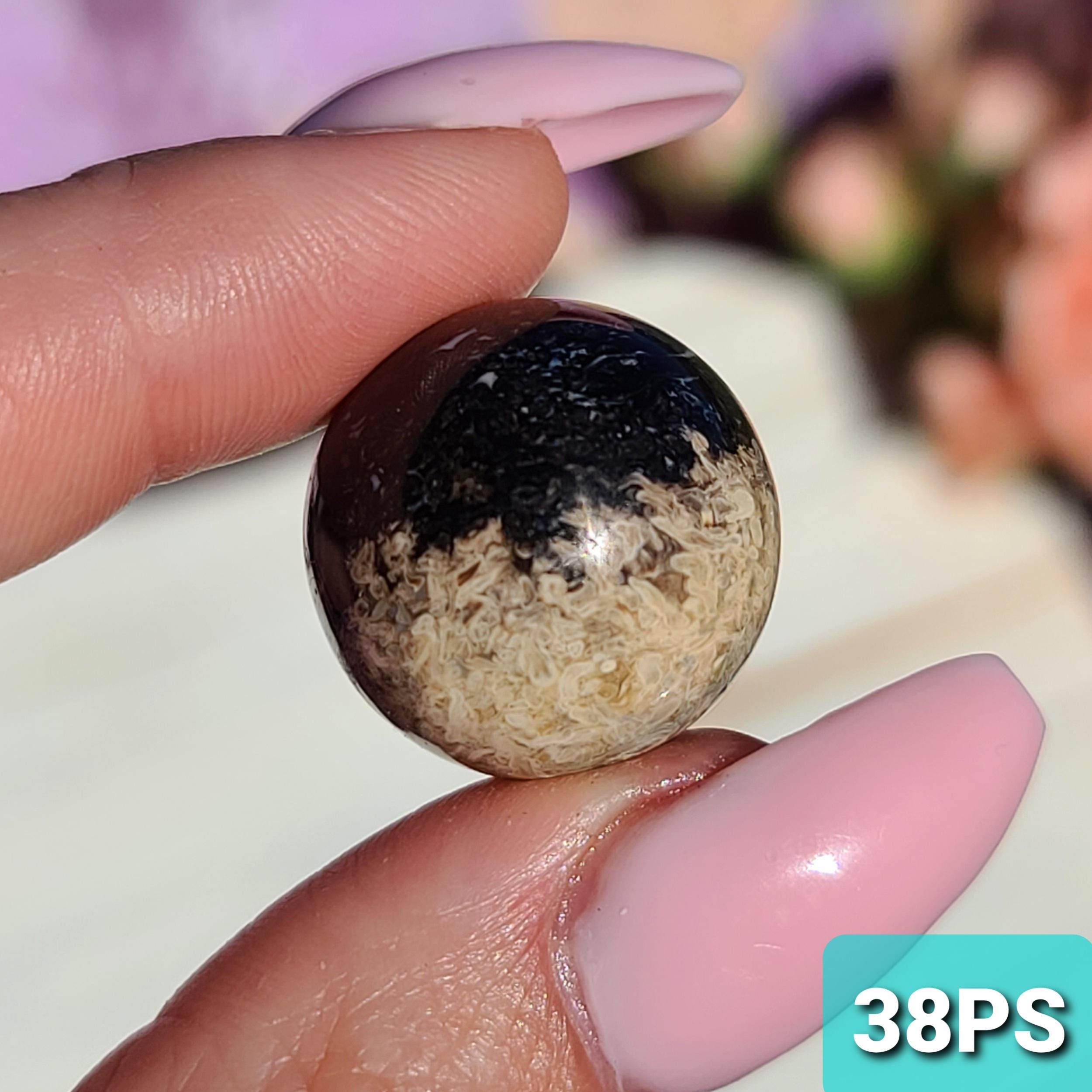 Palm Root Fossil Sphere, Choose Your Tiny Crystal Ball for Jewelry ...