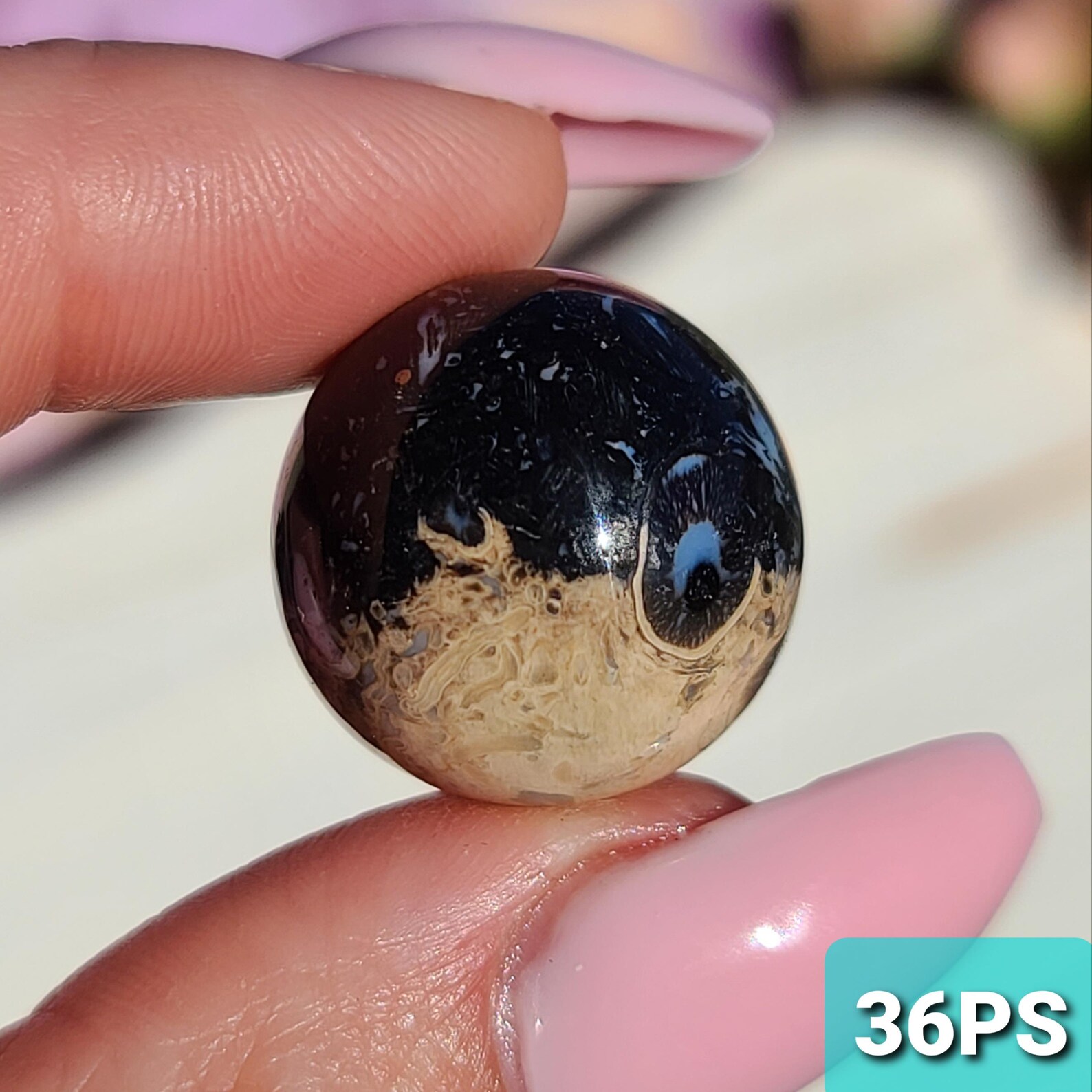 Palm Root Fossil Sphere, Choose Your Tiny Crystal Ball for Jewelry ...