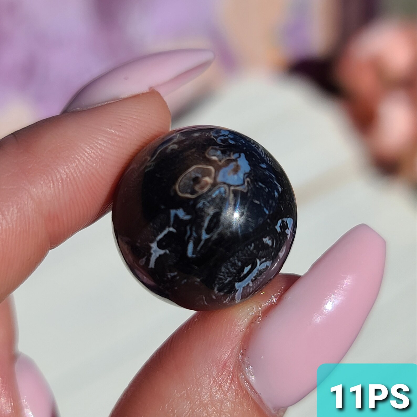 Palm Root Fossil Sphere Choose Your Tiny Crystal Ball for | Etsy