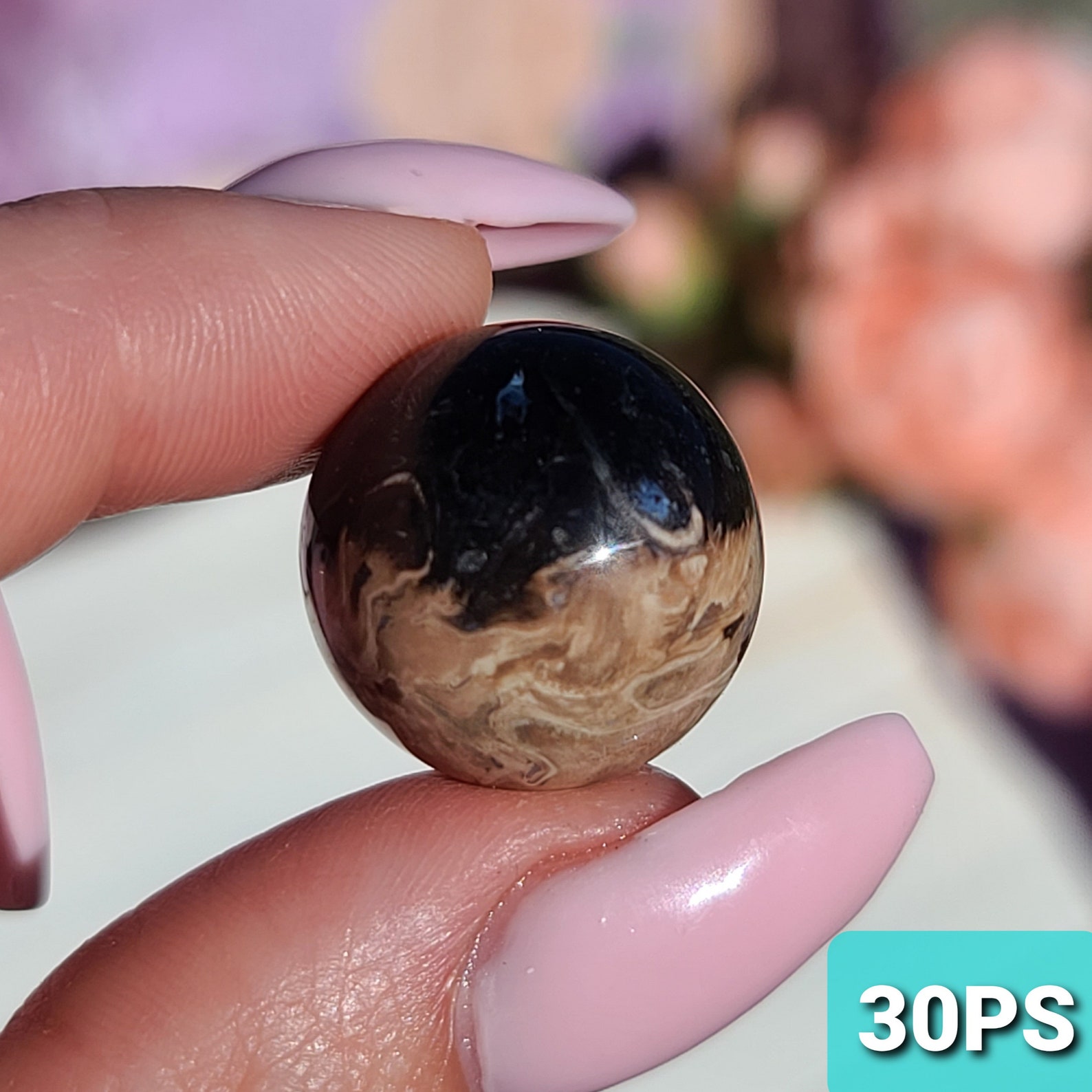 Palm Root Fossil Sphere Choose Your Tiny Crystal Ball for - Etsy