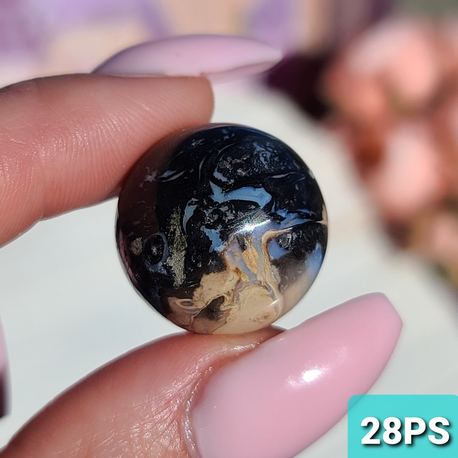 Palm Root Fossil Sphere Choose Your Tiny Crystal Ball for - Etsy