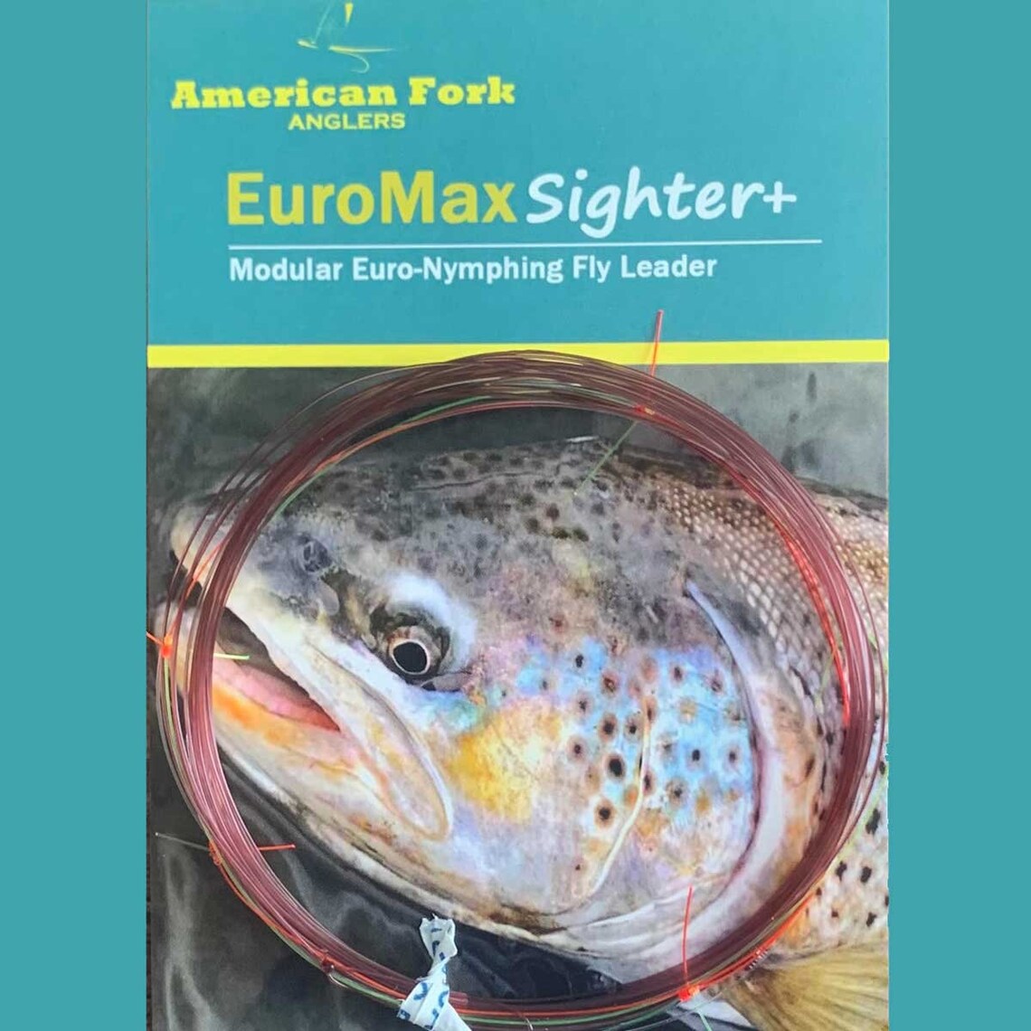 Euromax Sighter: Modular Euro-nymphing Fly Leader | Etsy