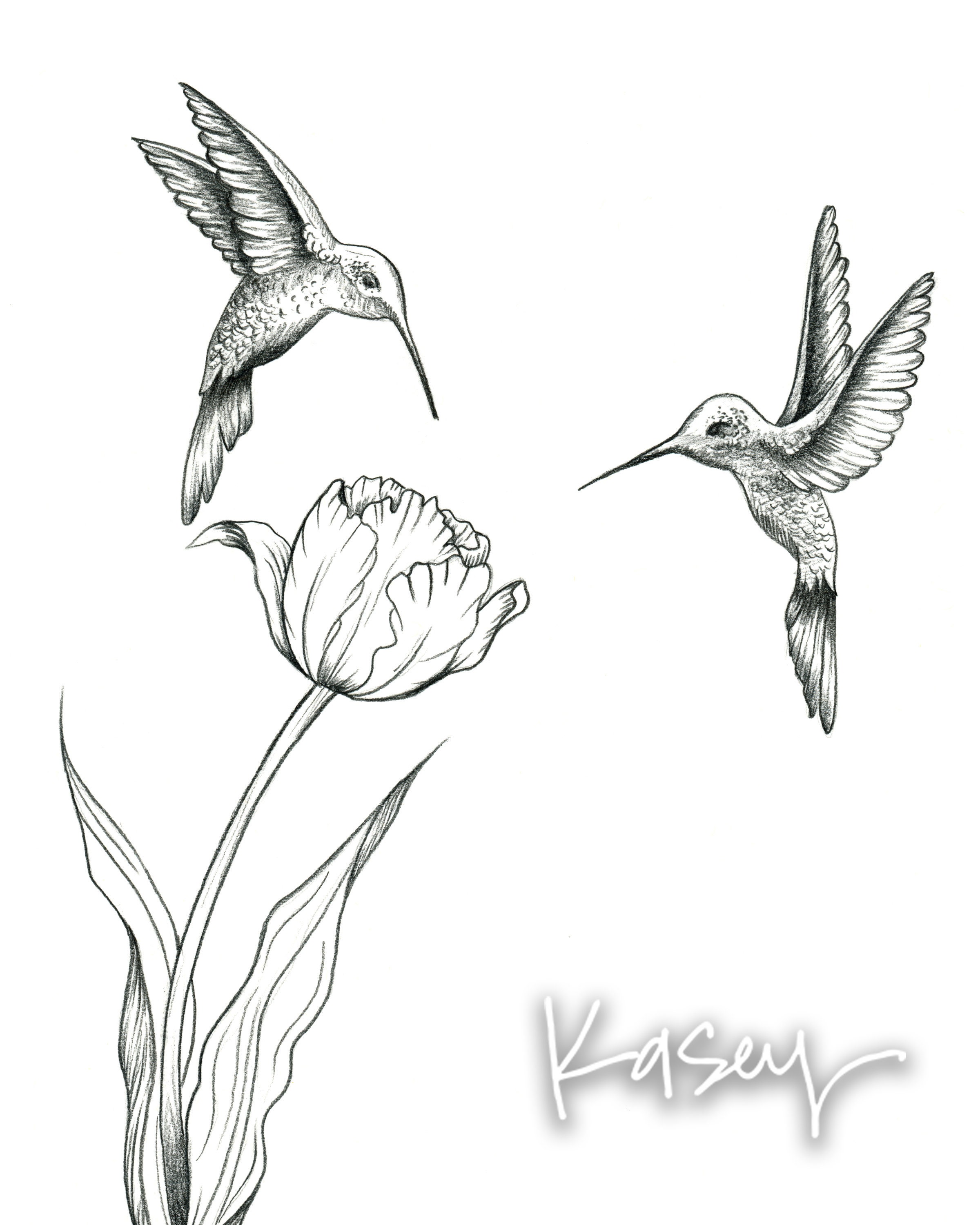 Hummingbirds - Tulip - Abstract Art - Unframed - Etsy