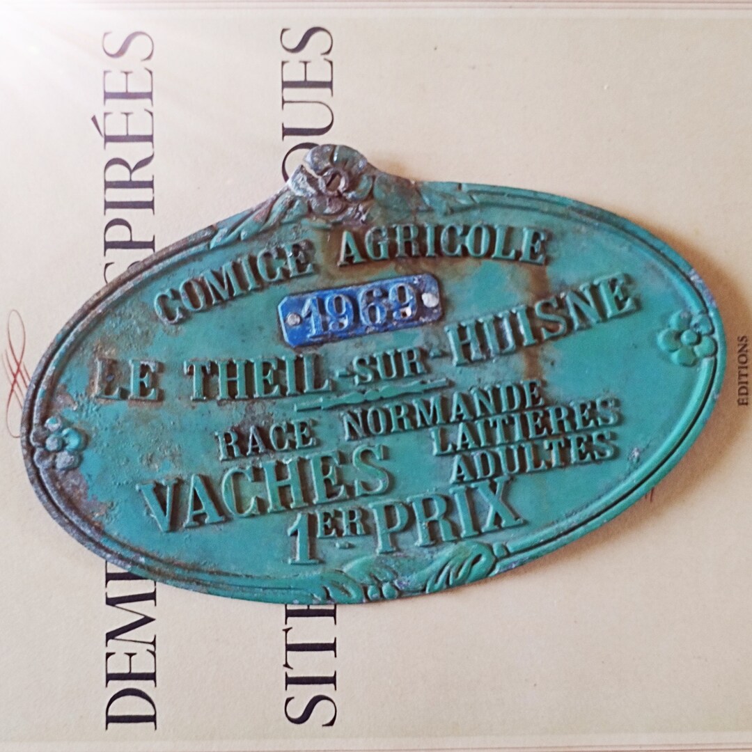 French Vintage Farmers Trophy, Normandie Dairy Cow First Prize Award ...