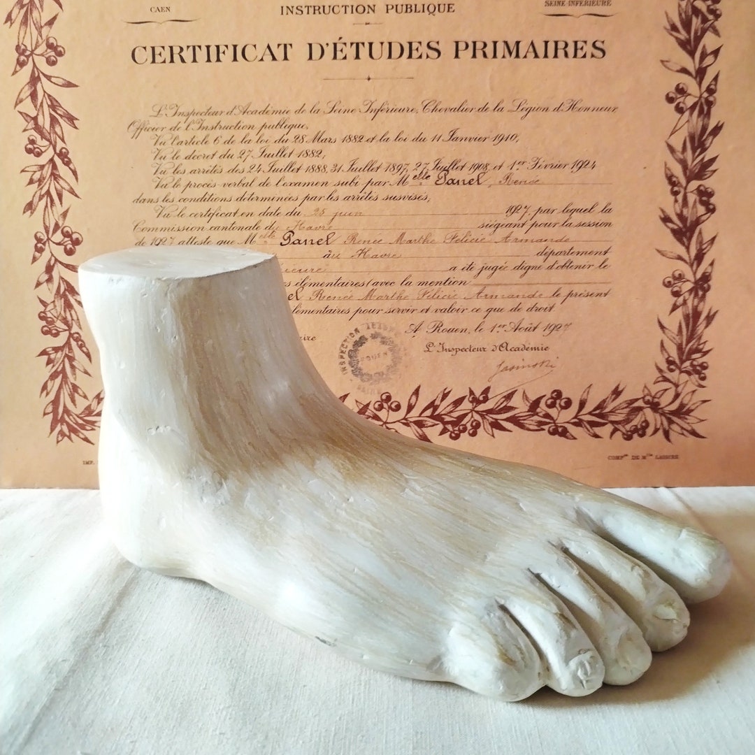 Vintage Plaster Foot, Human Foot Statue, Anatomic Study, Curiosity ...