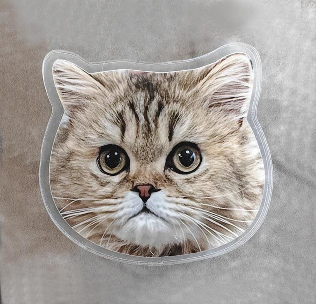 Custom Magnets, Custom Refrigerator Magnets, Customized Magnets in All ...