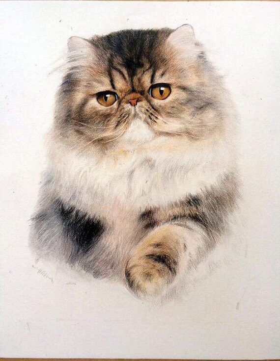 CUSTOM CAT Colored Pencil Painting Pet Portrait From Photo on - Etsy