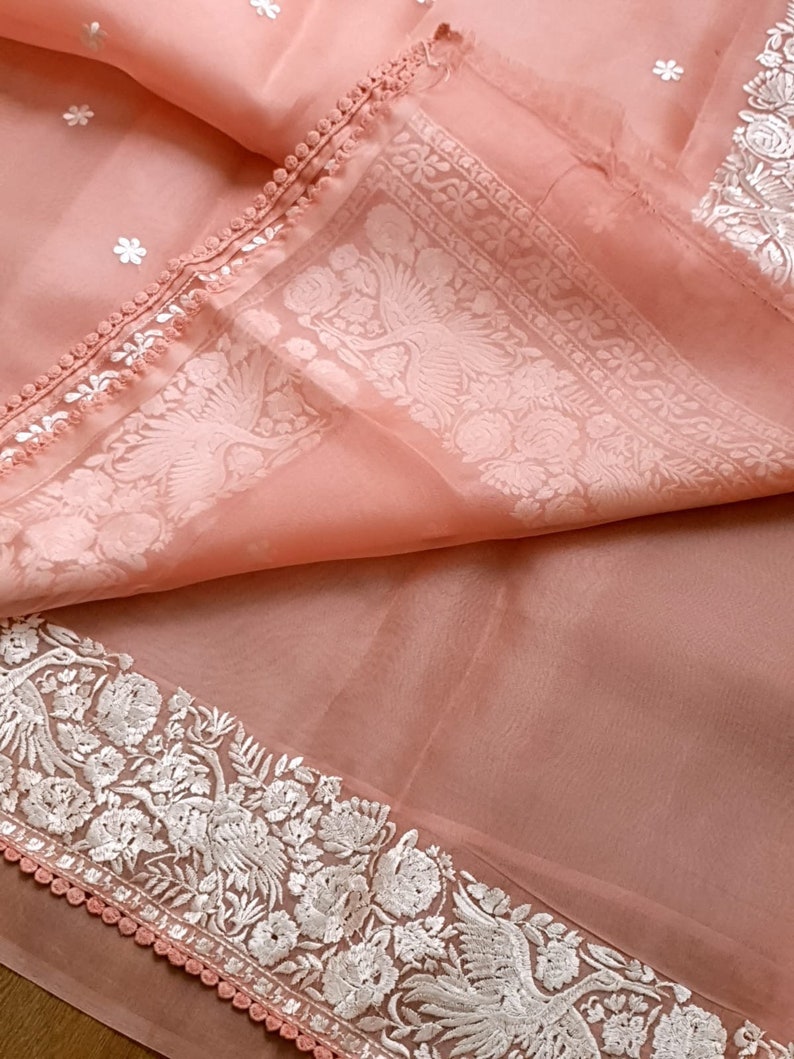 Parsi Inspired Organza Sareeorganza Silk - Etsy
