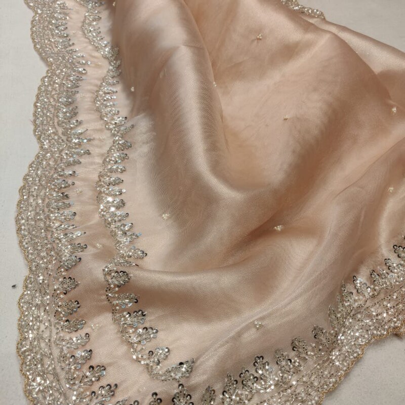 Silver Tissue Saree - Etsy