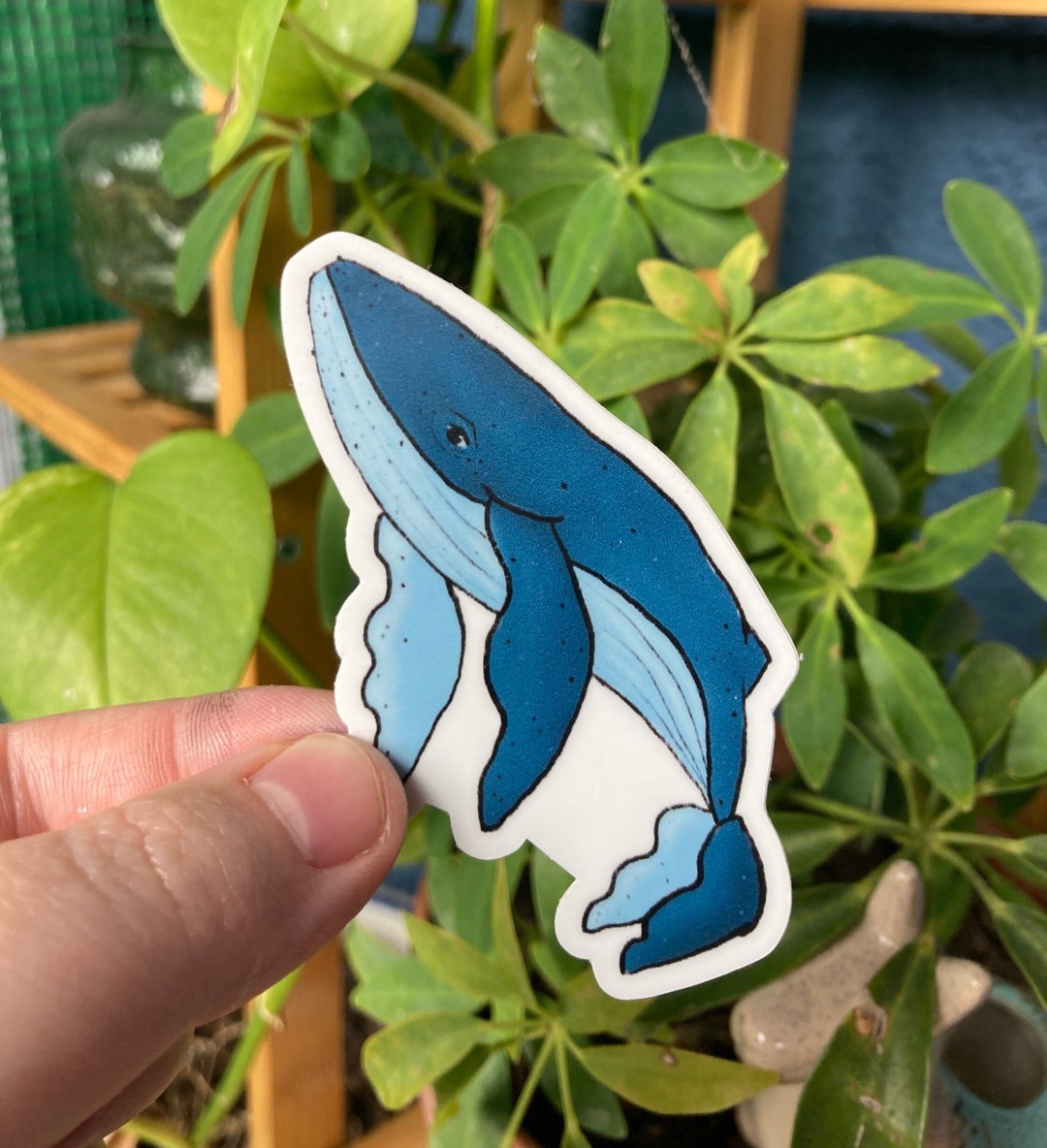 Humpback Whale Sticker Vinyl Sticker Waterproof Sticker - Etsy