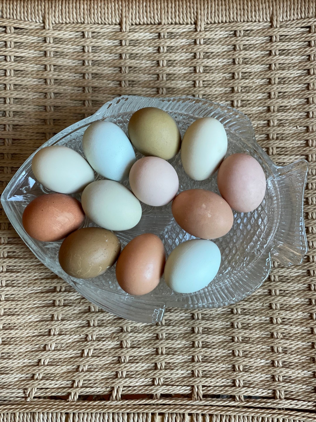 Ovenproof Glass Fish Plates, Vintage Dinnerware, Mid Century Dishes ...