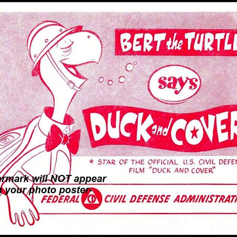 Buy Duck Civil Civil Civil Civil Duck Online In India - Etsy India