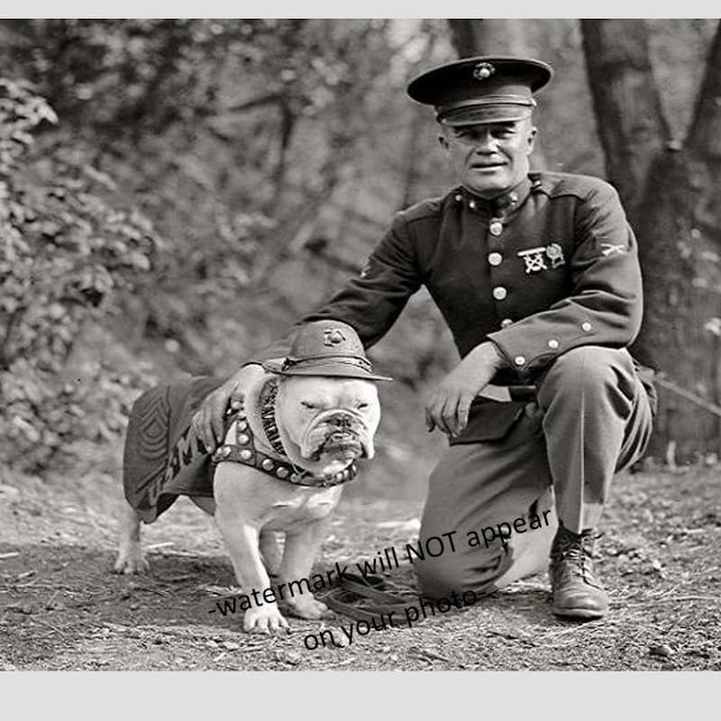 Usmc - Etsy