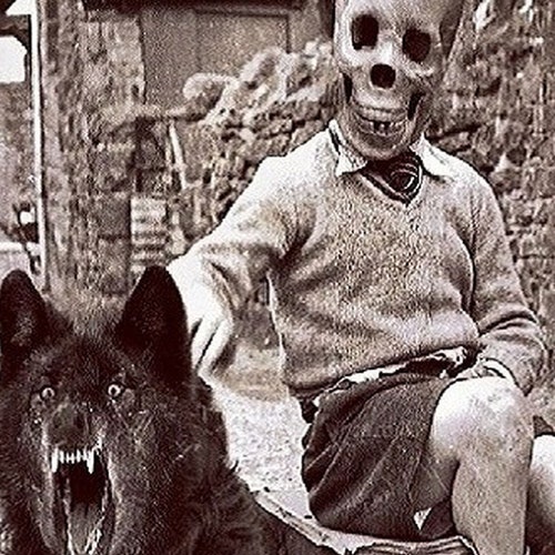 4x6 Wolf Man PHOTO Wolfman Monster Scary Creepy Weird Movie - Etsy