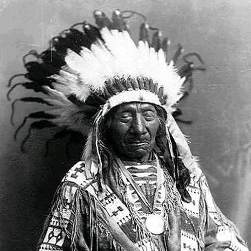 Chief Red Cloud - Etsy