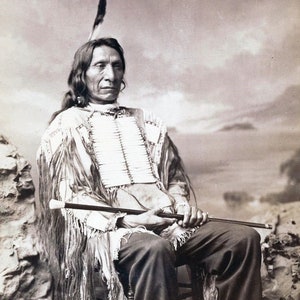11x14 Chief Red Cloud PHOTO POSTER Portrait Oglala Lakota Native ...