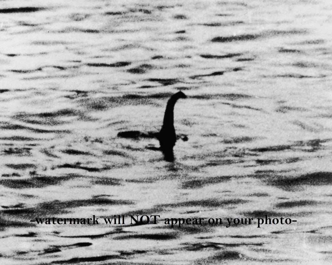 8x10 Scary Loch Ness Monster PHOTO Freaky Monster Nessie Print - Etsy