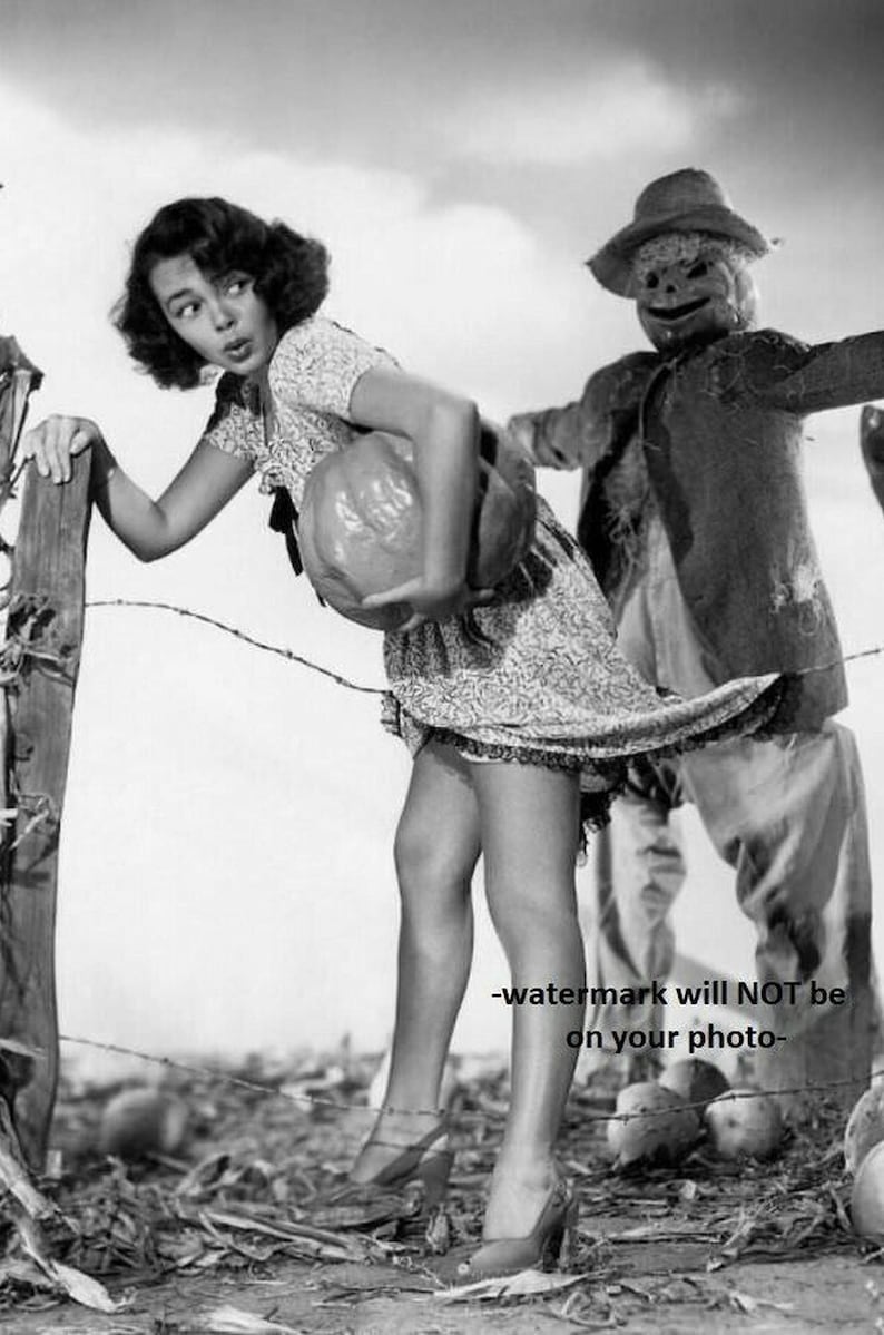 4x6 Creepy Halloween Photo Scary Scarecrow Sexy Girl Pumpkin Etsy