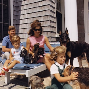 5x7 1963 John F Kennedy Family & Dogs PHOTO President JFK Jackie John ...