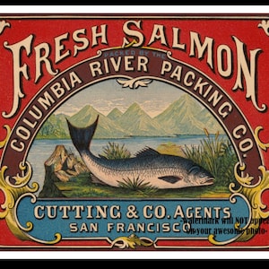 8x10 1874 Vintage Columbia River Salmon PHOTO Advertising Fishing Decor ...