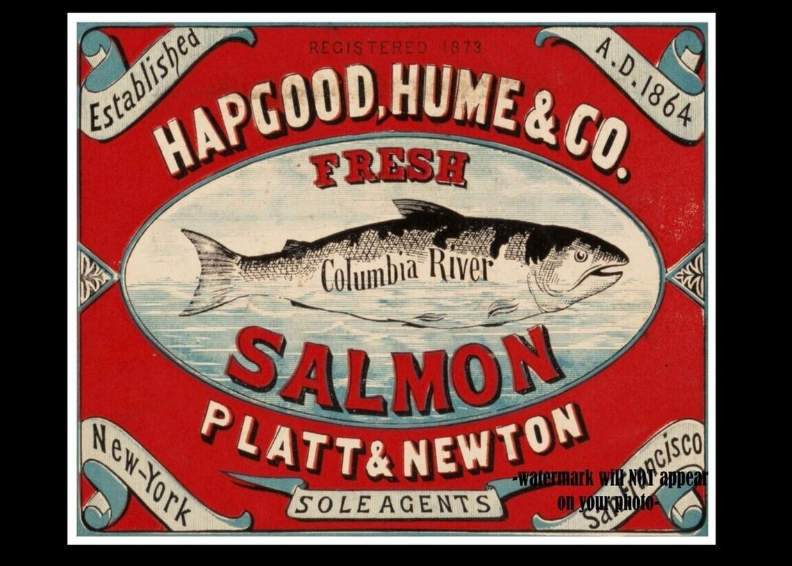 8x10 1873 Vintage Columbia River Salmon PHOTO Advertising Fishing Decor ...