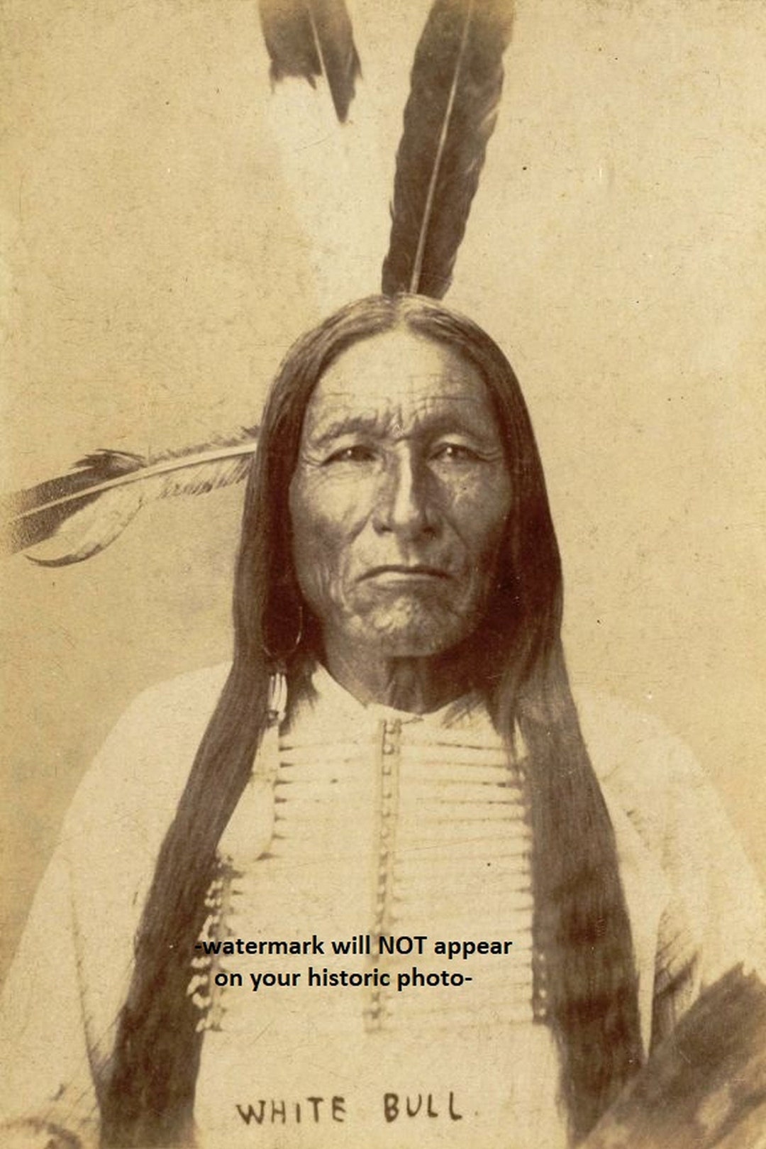 4x6 1880s White Bull PHOTO He Fought George Custer, Battle of Little ...