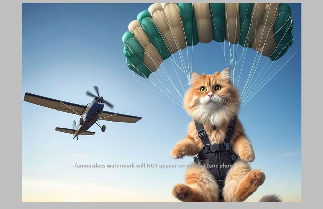 5x7 Kitty Cat Skydiver PHOTO Cats 5x7 Art Print Photo Funny Skydiving ...