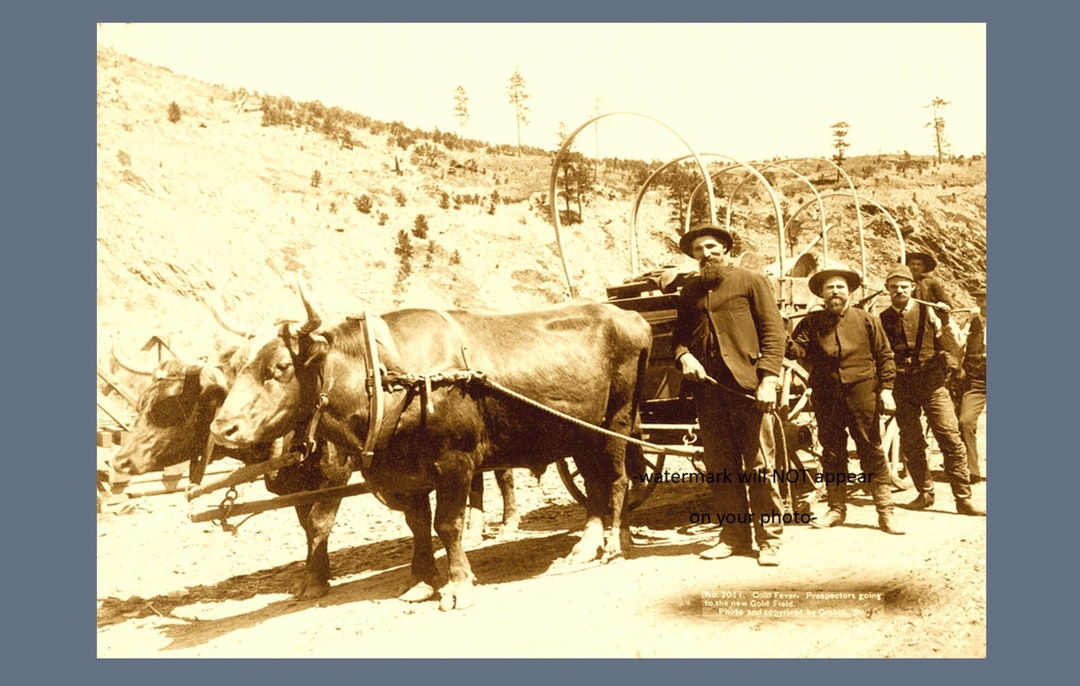 5x7 Prospectors Gold Rush Miners PHOTO Covered Wagon Wild West Mining ...