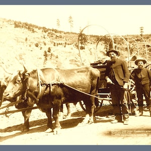 5x7 Prospectors Gold Rush Miners PHOTO Covered Wagon Wild West Mining ...