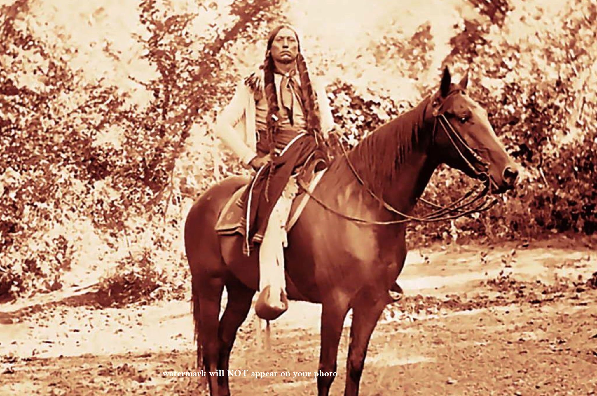 4x6 Photo 1897 Comanche Chief Quanah Parker Photo,native American ...