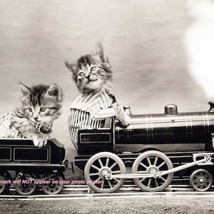 11x17 Poster Kitty Train Conductor PHOTO Funny Cats Kittens Railroad ...