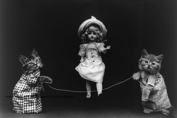 4x6 Vintage Cats Jumping Rope PHOTO Funny Reprinted 1914 Pic - Etsy
