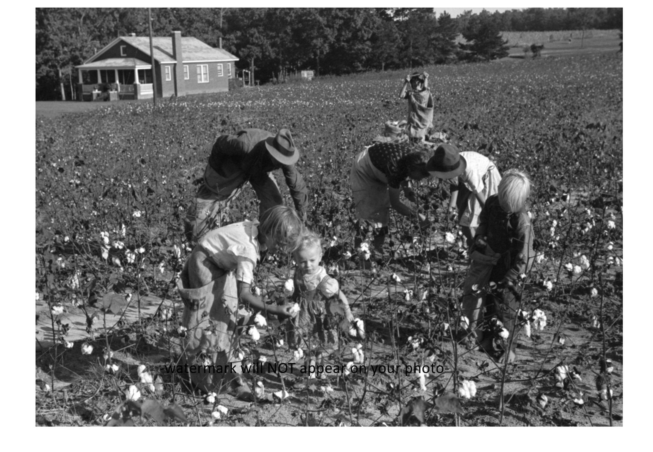 Child Labor During The Great Depression