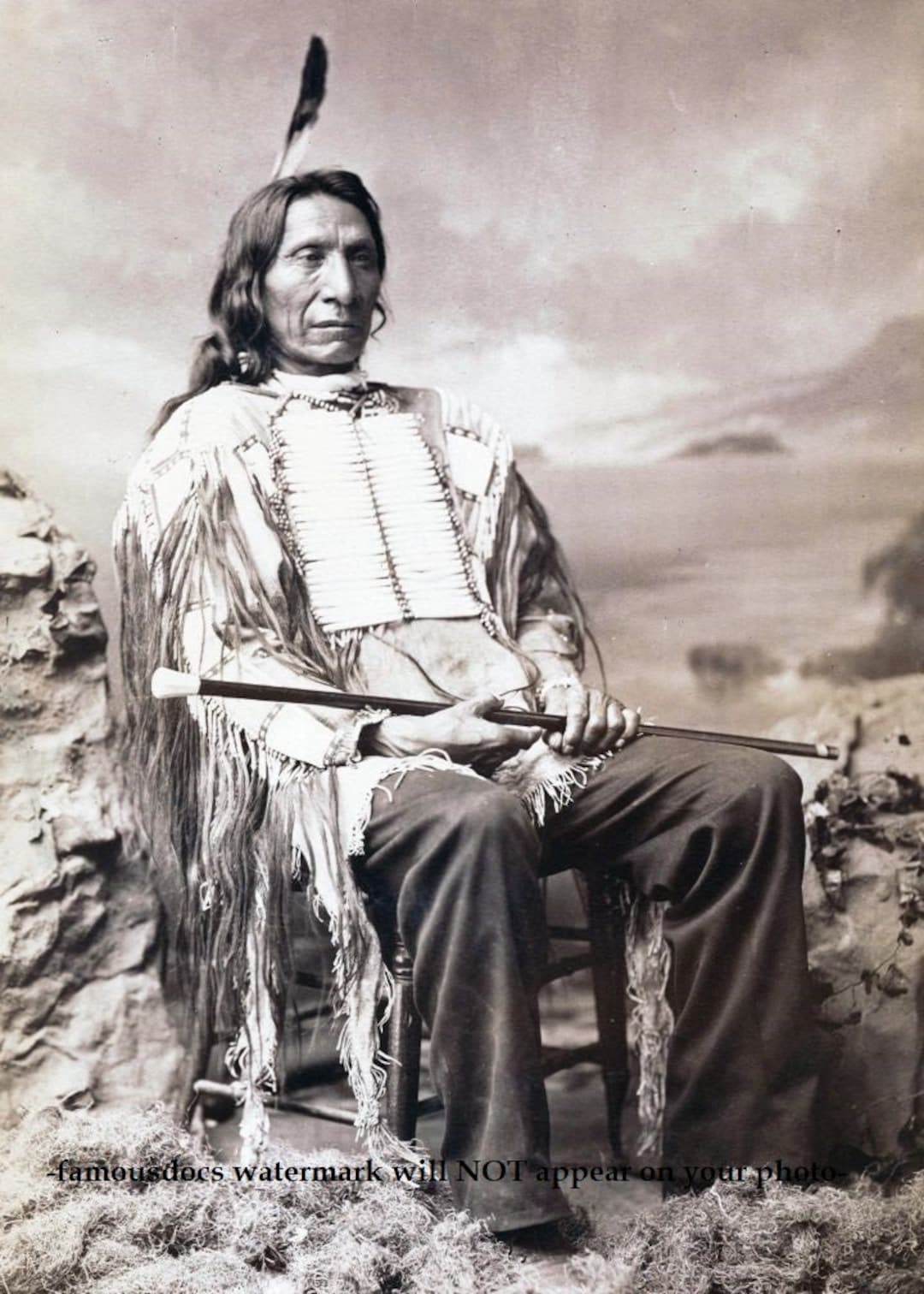 11x14 Chief Red Cloud PHOTO POSTER Portrait Oglala Lakota Native ...