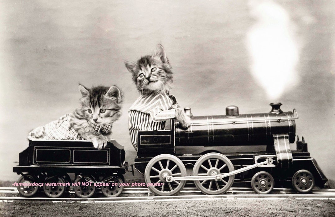 11x17 Poster Kitty Train Conductor PHOTO Funny Cats Kittens Railroad ...