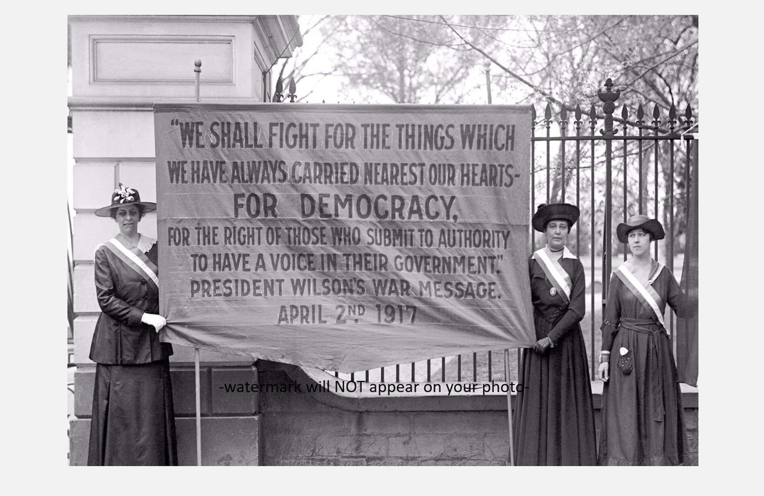 Womens Suffrage Protest Signs