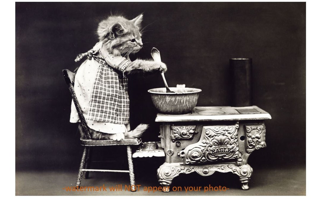 4x6 Vintage Kitty Cat Cooking PHOTO Kitten Making Dinner in Kitchen ...