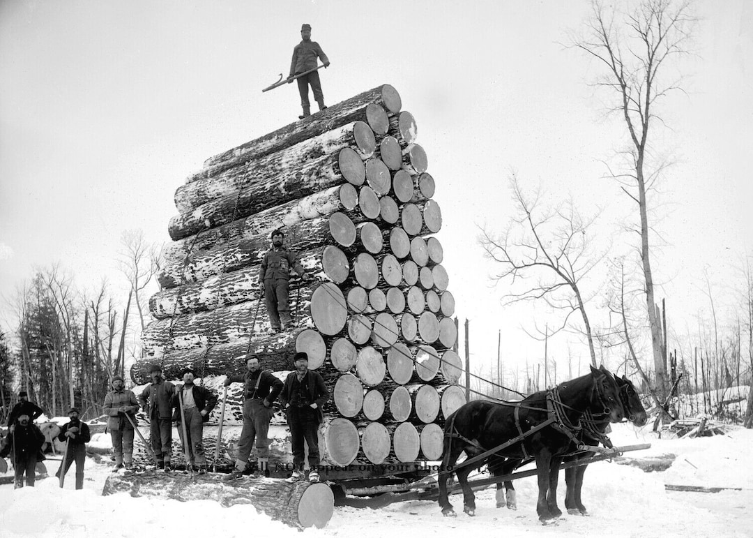 5x7 1905 Hauling Huge Logs PHOTO Lumberjacks Work Logging Michigan ...
