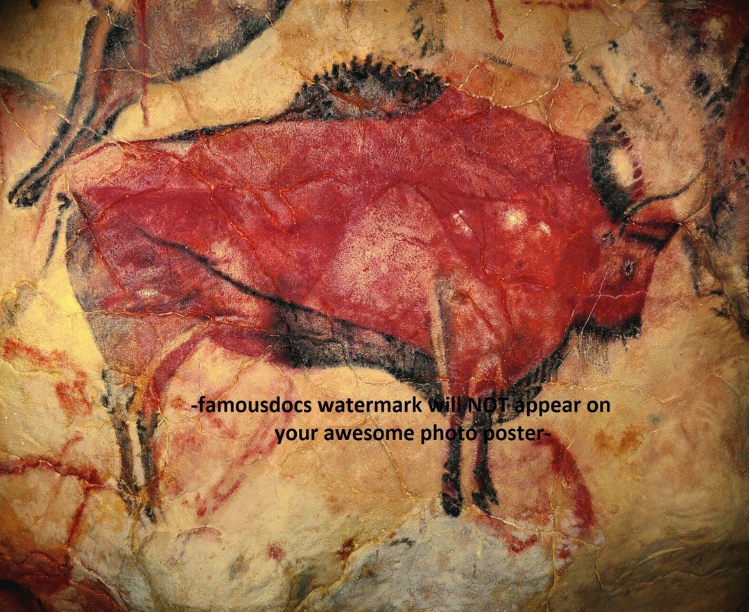 5x7 Bison Buffalo Cave Painting PHOTO Buffalo Wild West Cowboy Art ...