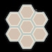 20×20 Hexagon Pattern Floor Tile Sqm2 (10 Sqf ) ,set of 1 M2 ,25 Pcs ...