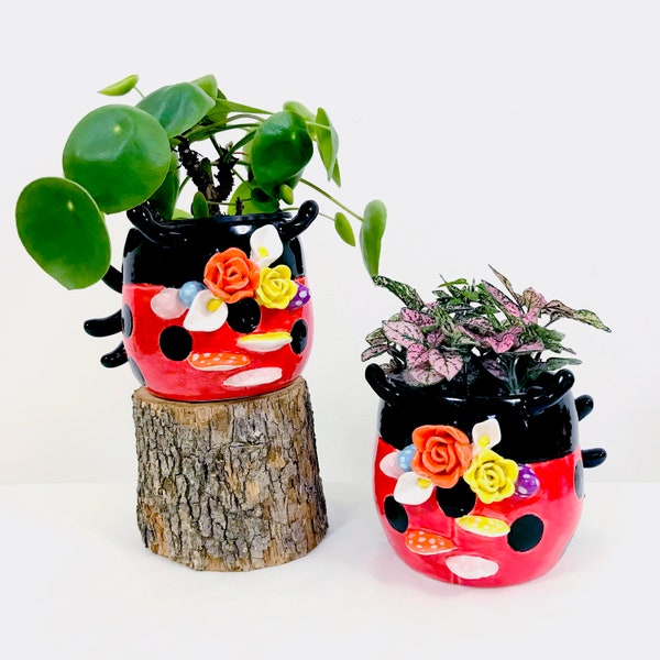 Ladybug House - Etsy