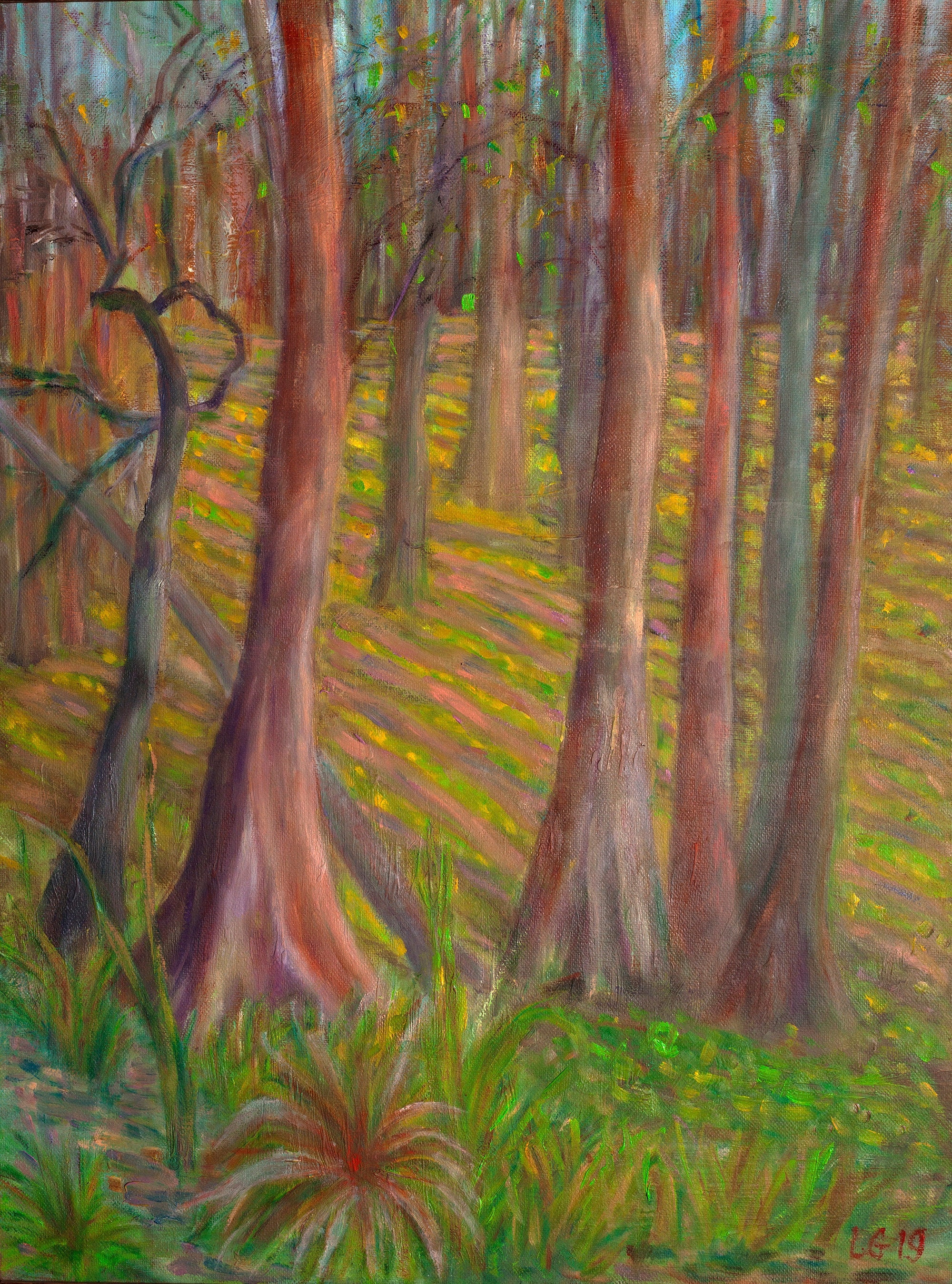 Trees in Melrose Florida Original Oil Painting - Etsy