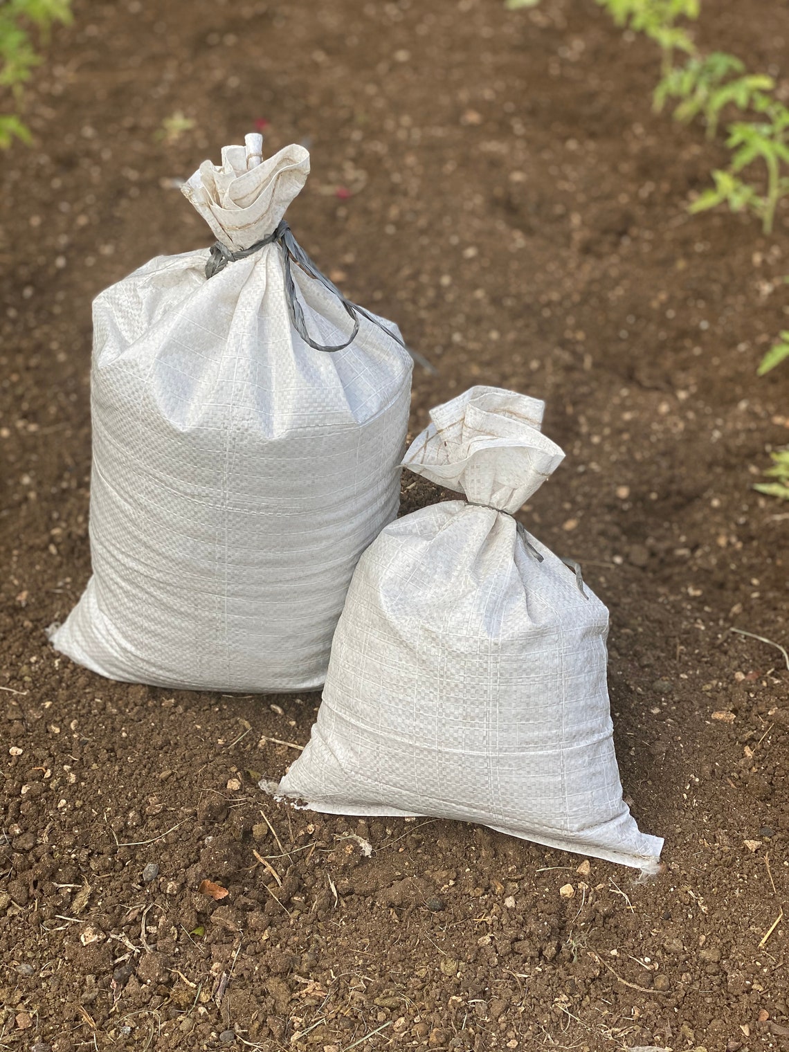 Organic Sheep Manure Fertilizer Garden Vegetable Flowers Gardening - Etsy