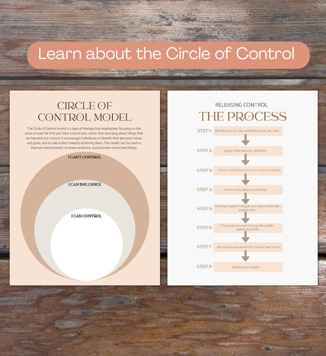What I Can Control Circle of Control Worksheets Cognitive - Etsy