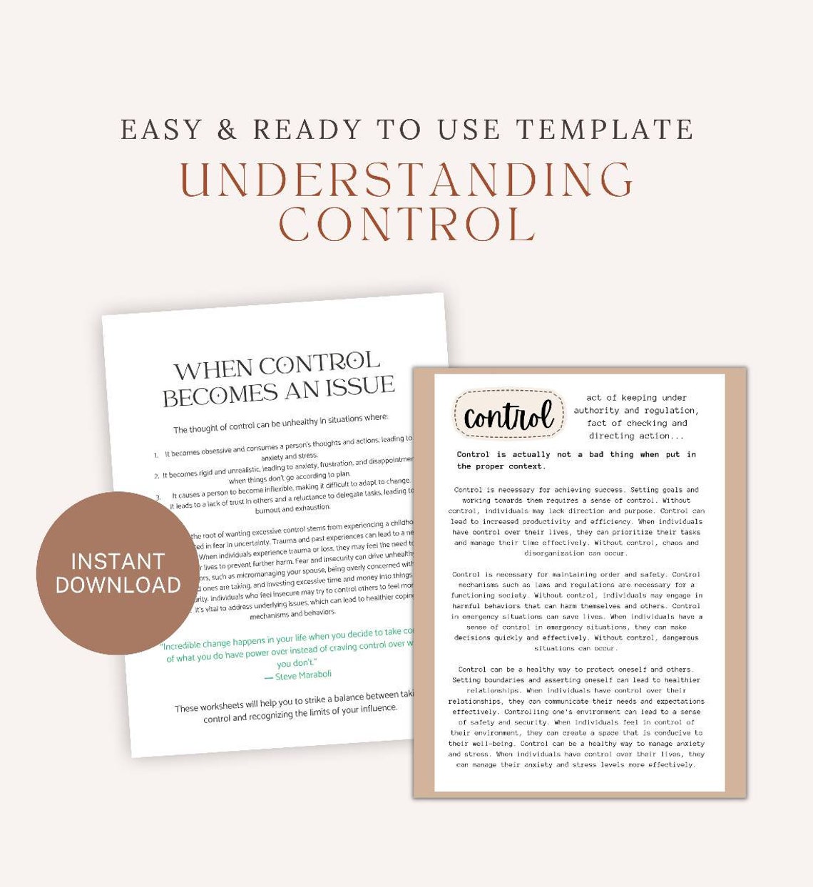 What I Can Control Circle of Control Worksheets Cognitive - Etsy